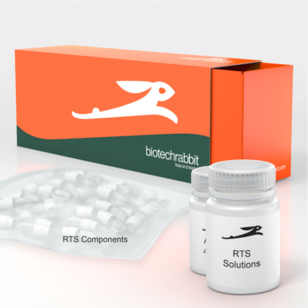 RTS 100 Wheat Germ Kit (24 reactions of 50 µl) | Westburg Life Sciences