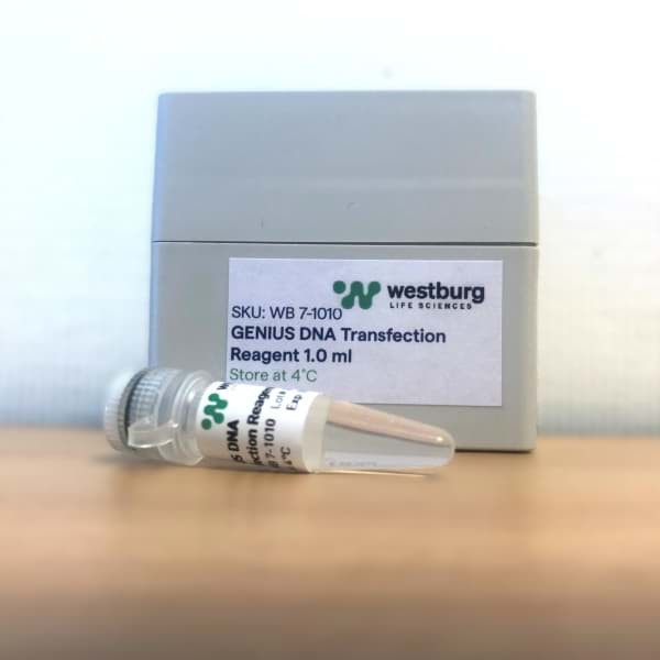 Genius dna transfection reagent 1.0 ml | Westburg Life Sciences