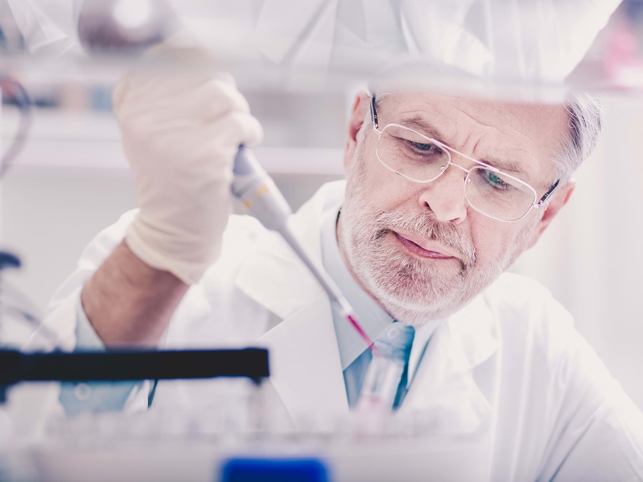 How to optimize qPCR in 9 steps? | Westburg Life Sciences