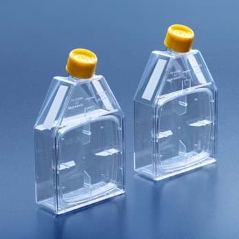 Tissue culture flask 115 cm² with re-closable lid and barrier (18 ...